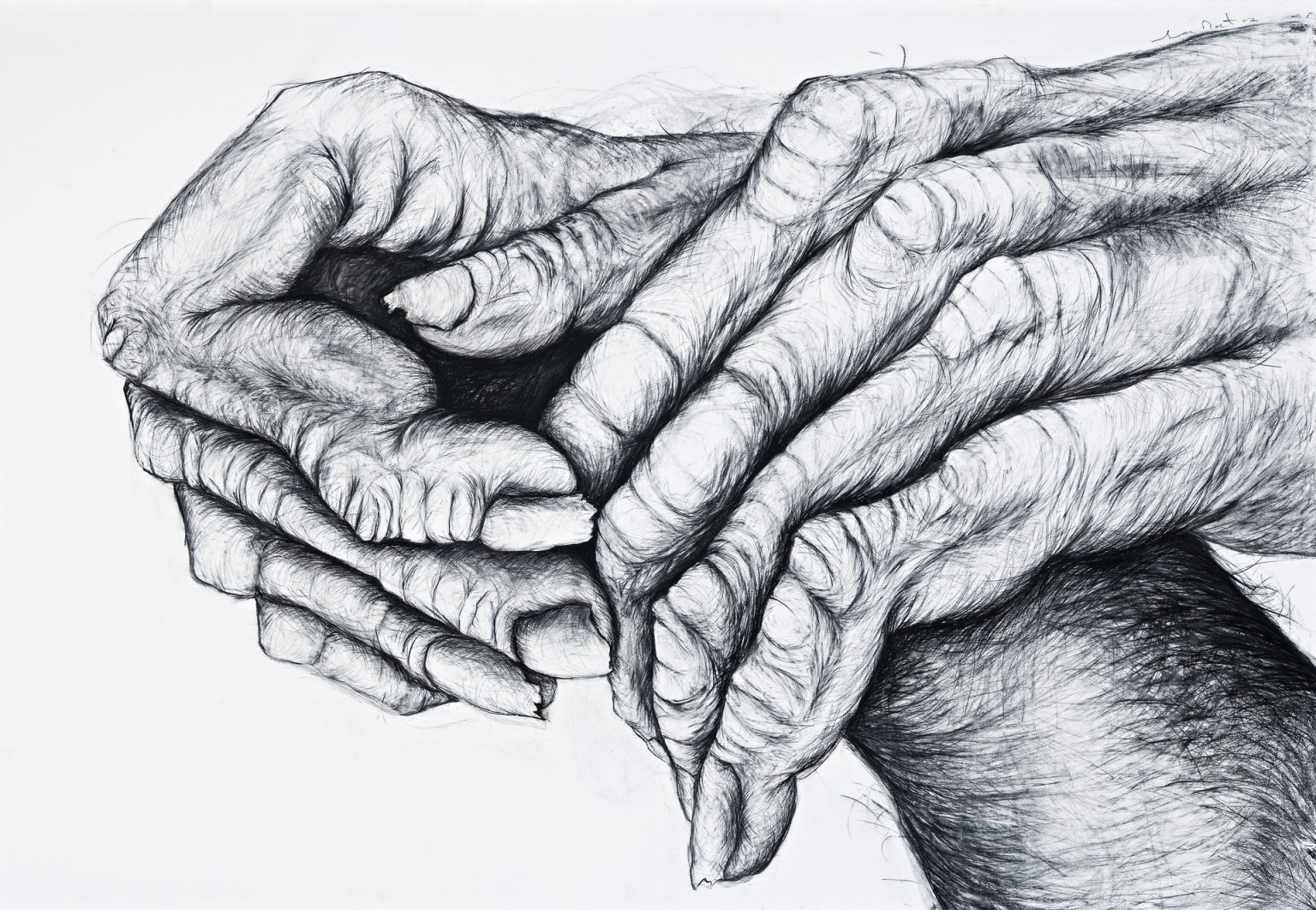 Lisa Roet – Artist – Artist Lisa Roet