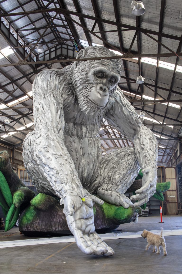 David Greybeard – Lisa Roet – Artist