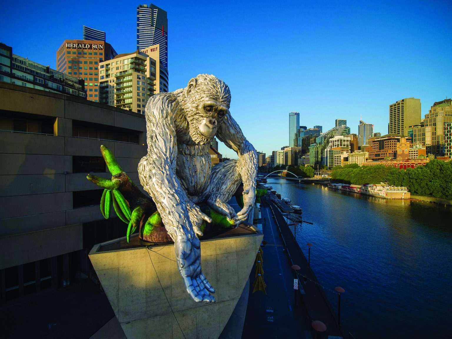 David Greybeard – Lisa Roet – Artist