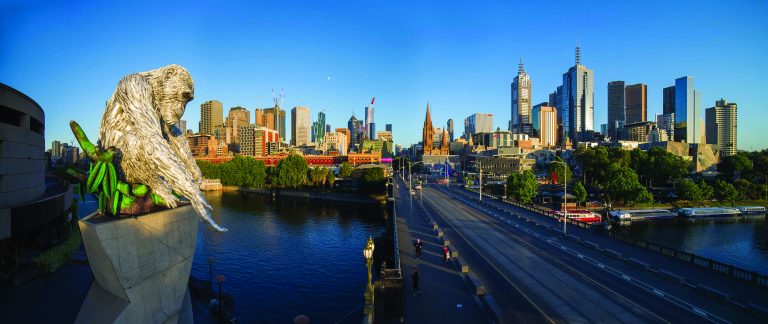 David Greybeard – Lisa Roet – Artist