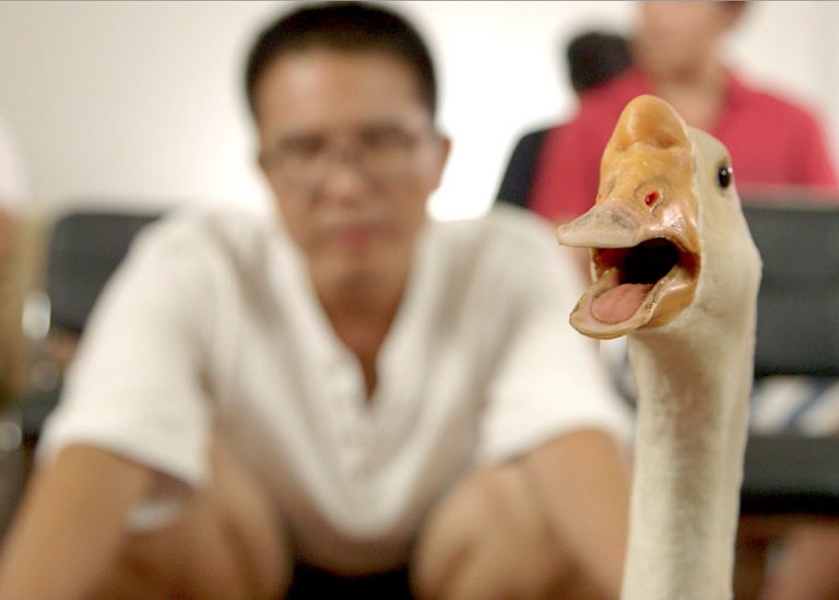 Lisa Roet – Artist – Artist Lisa Roet