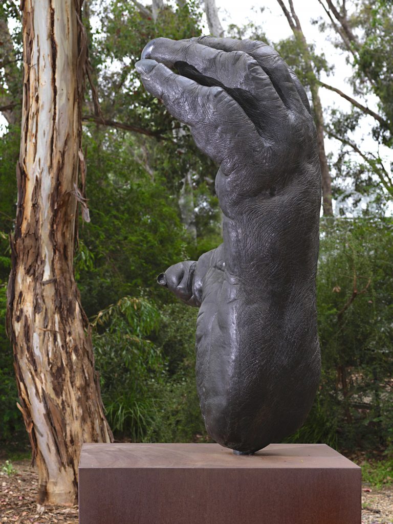 Orangutan Foot – Lisa Roet – Artist