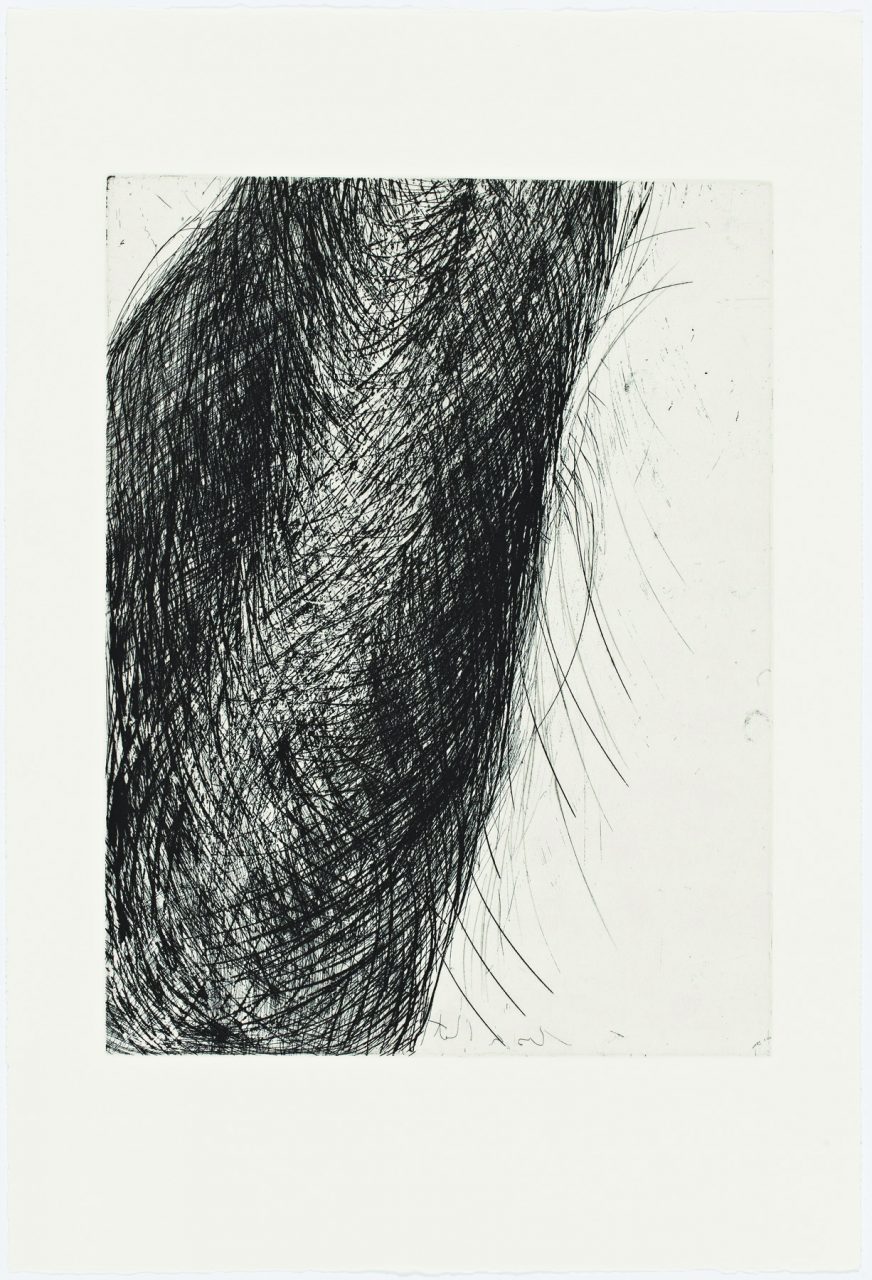 The Beast of Cuvier i, ii and iii – Lisa Roet – Artist