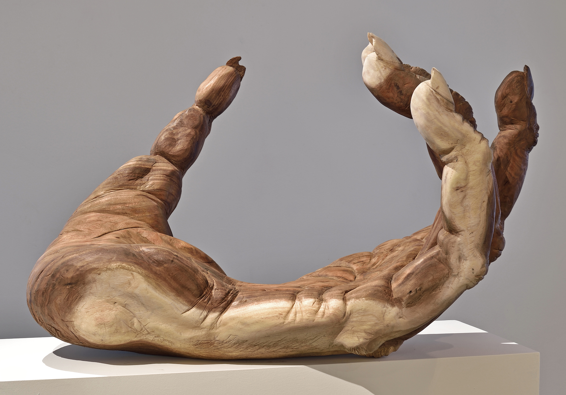 Lisa Roet – Artist – Artist Lisa Roet